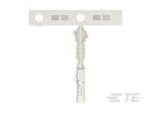 2203242-1 : Generation Y 汽车端子 | TE Connectivity