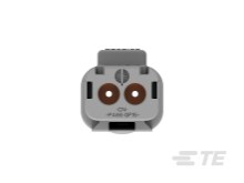 DT04-2P-TB31 : DEUTSCH 汽车连接器护套 | TE Connectivity